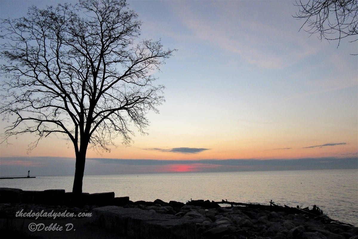 A RARE SUNRISE!