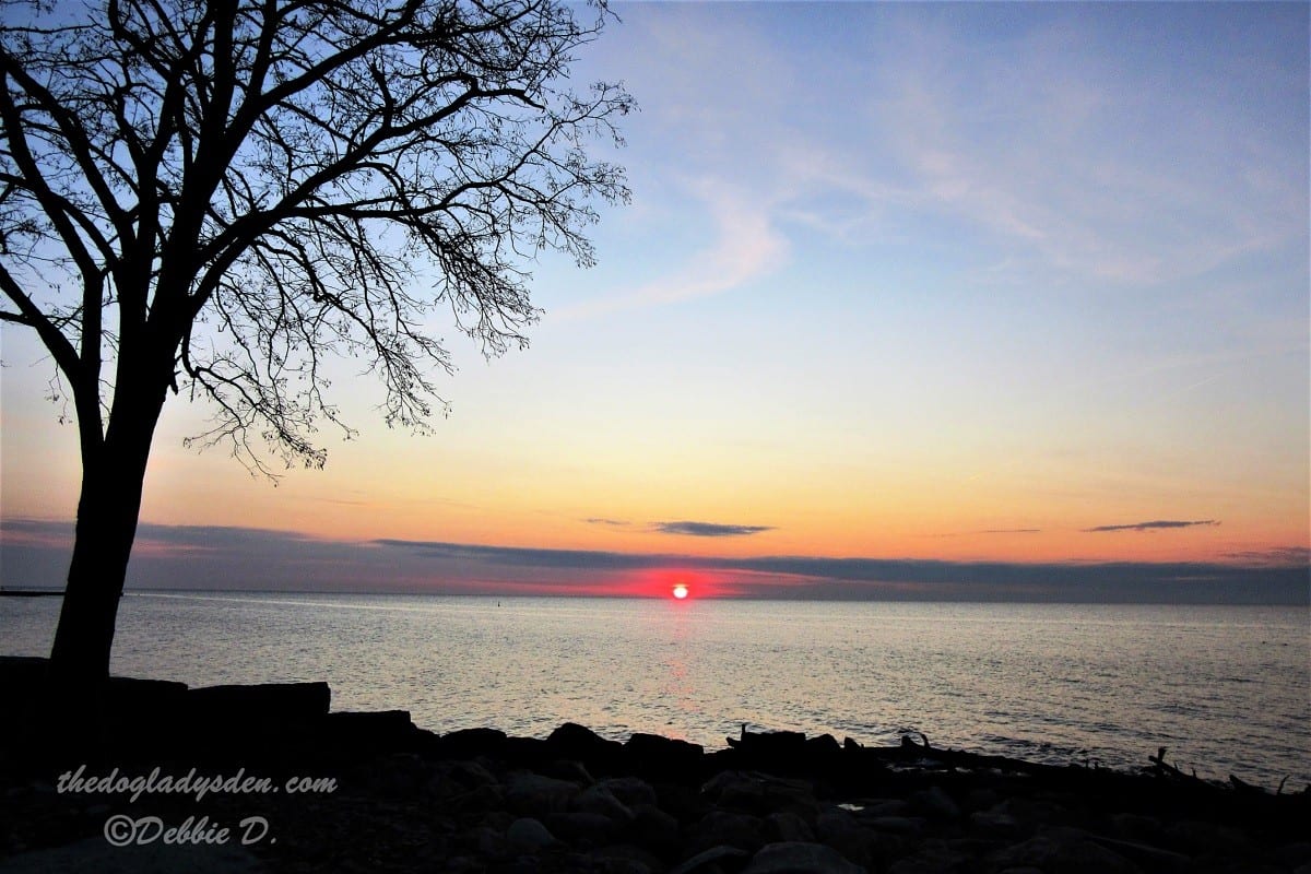 A RARE SUNRISE!