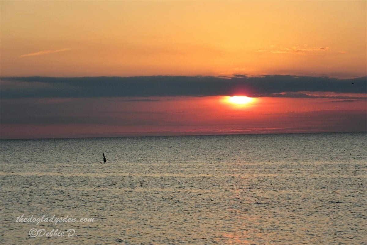 A RARE SUNRISE!