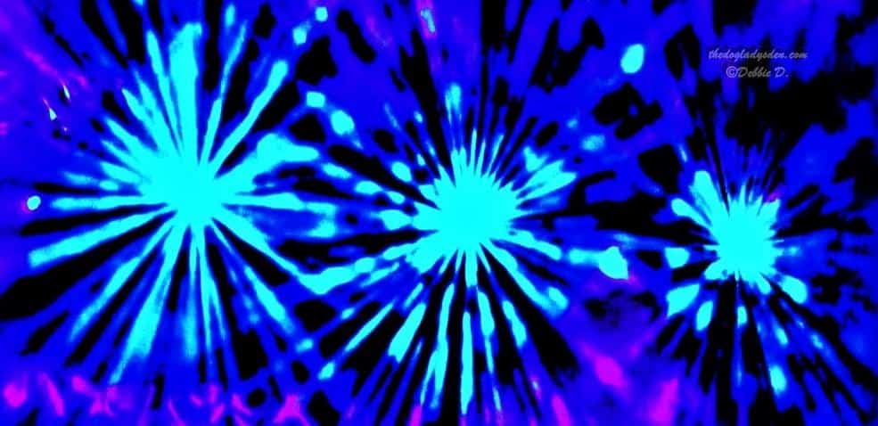 COBALT BLUE #SundayStills (On a Monday) #Photography 📷