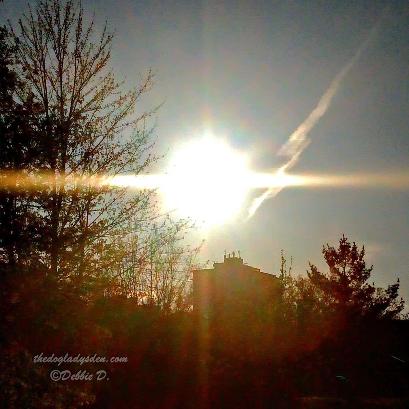 FROM DAYBREAK TO DUSK 🌅🌇 #SundayStills #Photography