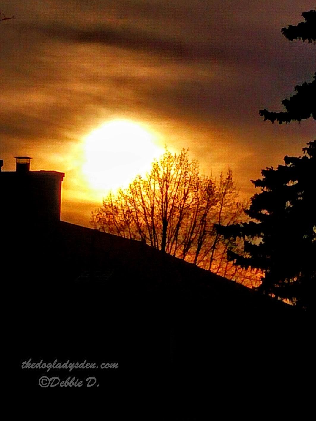 FROM DAYBREAK TO DUSK 🌅🌇 #SundayStills #Photography